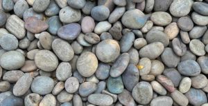 Seven Amazing Textures Found in Nature - Talk Planty 2 Me